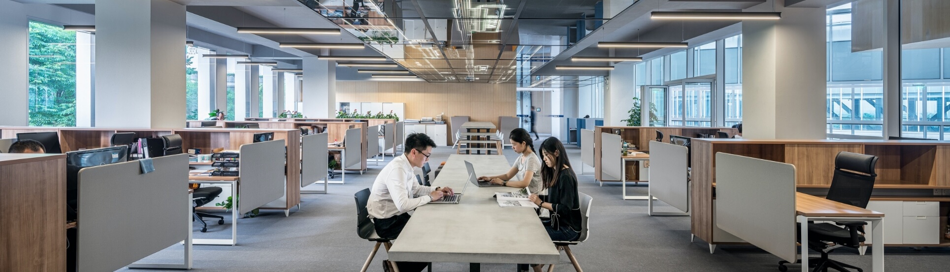 My Office - MLC Company